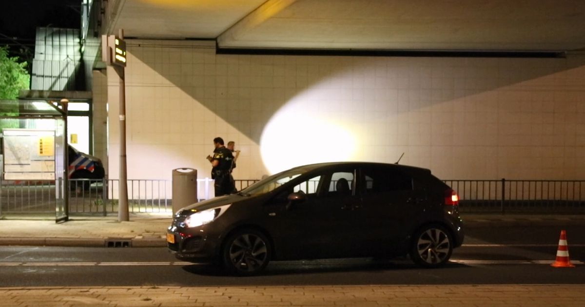 Poging moord bij viaduct Melanchtonweg | Opsporing Verzocht